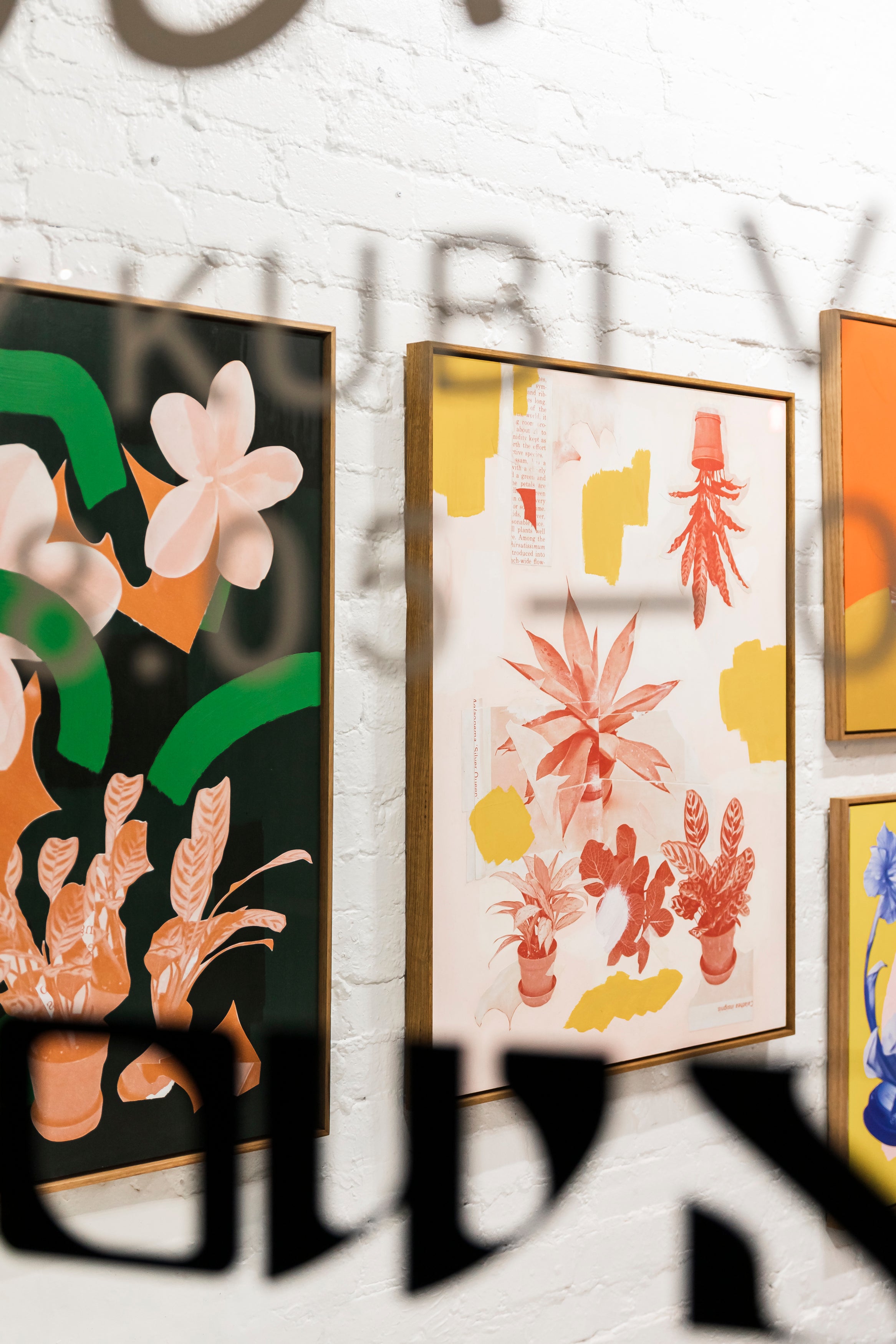 Artist In Residence | KUBI VASAK Solo Exhibition ‘Bloom Tall' – Rainbow Studios Pacific